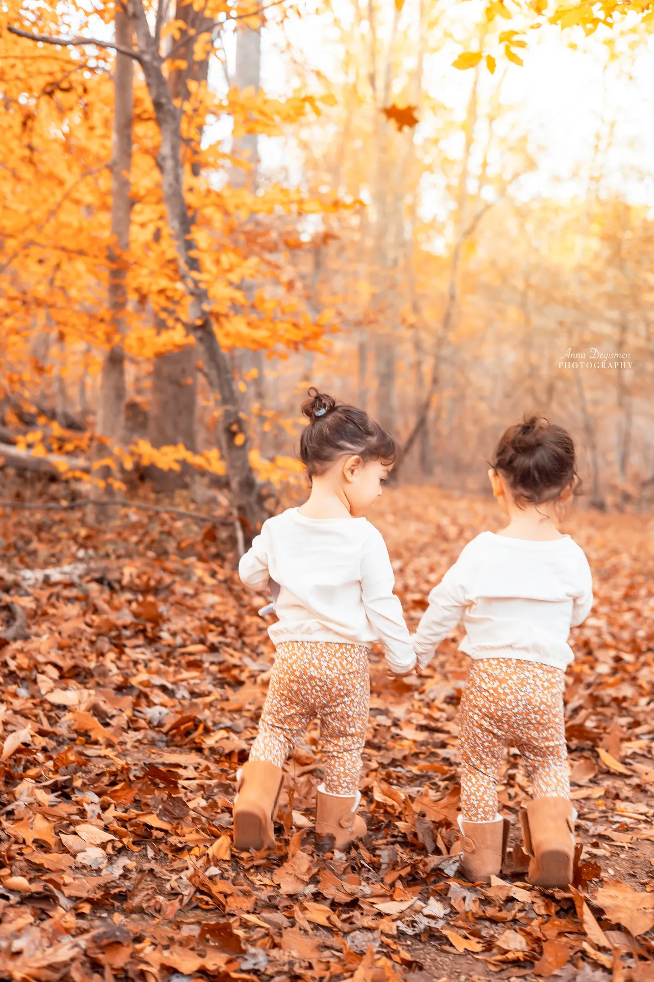 Fall minis | Anna Degismen Photography