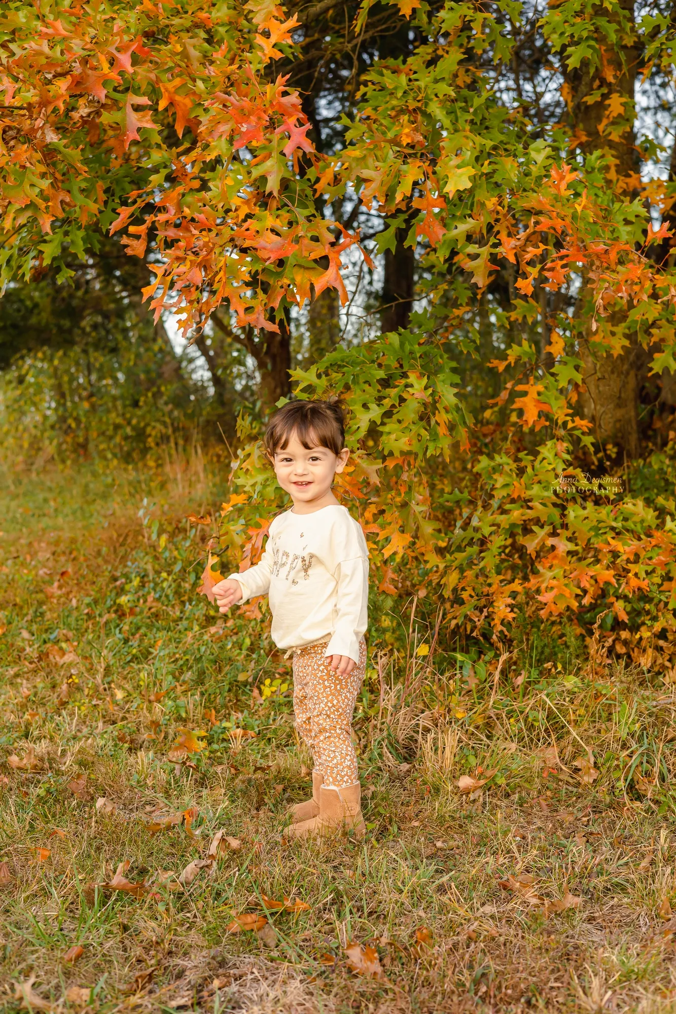 Fall minis | Anna Degismen Photography